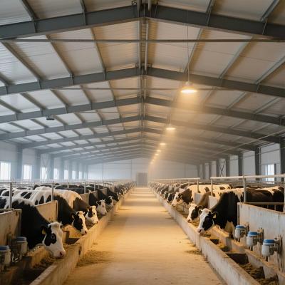 China Custom Light Steel Structure Agricultural Farm Workshop for Poultry Cattle Sheep Barn for sale