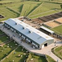 China Custom Light Steel Structure Agricultural Farm Workshop for Poultry Cattle Sheep Barn for sale
