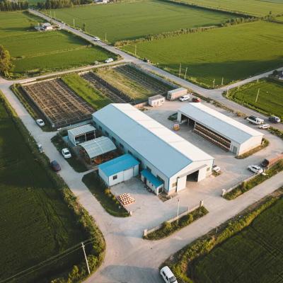 China Industrial Steel Structure Buildings Steel Structure Warehouse Farm Workshop for sale