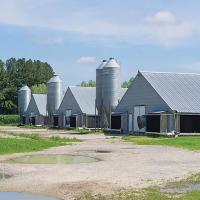 China Large Span Industrial Logistics Storage Over 5000 Sqm Steel Structure Warehouse Building for sale