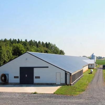 China Large Span Industrial Logistics Storage Over 5000 Sqm Steel Structure Warehouse Building for sale