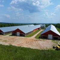 China Large Span Industrial Logistics Storage Over 5000 Sqm Steel Structure Warehouse Building for sale