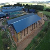 China Q235B Q355B Heavy Duty Light Steel Structure Farm Buildings Poultry Houses 70m Span for sale