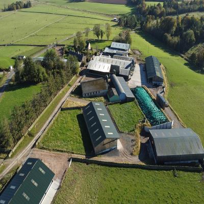 China Light Steel Farm Building for Livestock Poultry Shed 50 Year Life 9 Grade Seismic for sale