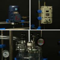 China Advanced 316L Chemical Glass Reactor With PLC Control 304 Stainless Steel Pipe Ptee Stirring Bar for sale