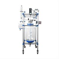 China 300L single layer glass reactor for sale