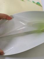 China Moderate Thickness Composite Paper Poly Bag Capacity 5kg With Handle for sale
