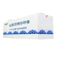 China Domestic Toilet Sewage Compact MBR Wastewater Treatment Plant for Food Beverage Shops for sale
