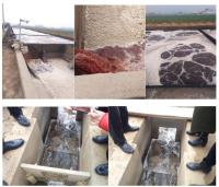 China 3000L/Hour Cattle Chicken Poultry Halal Meat Processing Mobile Wastewater Treatment Plant for Slaughterhouse for sale