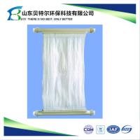 China Sewage Treatment Mbr Flat Sheet Membrane with Free Spare Parts at Manufacturing Plant for sale