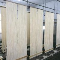 China Sewage Treatment Mbr Flat Sheet Membrane with Free Spare Parts at Manufacturing Plant for sale