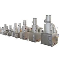 China 750L/H Pet Animal Carcasses Garbage Waste Incinerator Suitable for Domestic Factories for sale