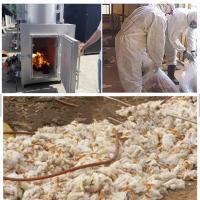 China Smokeless Poultry Waste Incinerator with Chimney Core Components and 750L/H Capacity for sale