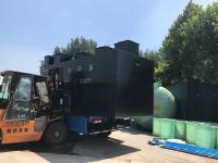 China Mini Pressure Vessel Sewage Digester for Underground Biodigester Waste Water Treatment for sale