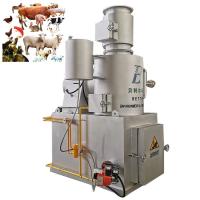 China Bangladesh Local Service Plasma Gasification Cremator for Dead Animal Waste Recycling for sale