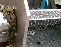 China 3000 kg Farm Equipment Cow Cattle Pig Manure Dewatering Machine Dung Dehydrator for sale