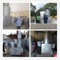 China Smokeless Incinerator Cremation Machine Incineration Furnace Cremator For Pets Prices for sale
