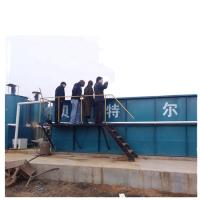 China 1200KG Halal Poultry Slaughter Plant for Advanced Cattle Sheep and Chicken Processing for sale