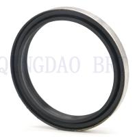China Rubber Auto Engine Crankshaft Oil Seal For Industry for sale