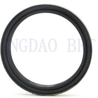 China Rubber Auto Engine Crankshaft Oil Seal For Industry for sale