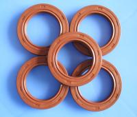 China TC Double Lips Rubber Oil Seals for sale