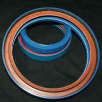 China Shore A 60 Automotive Oil Seals for sale