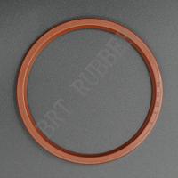 China ISO9001 Approval Crankshaft Oil Seal FKM FKM Seals For Engine for sale