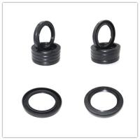 China Custom FKM Bearing Rubber Oil Seals Corrosion Proof For Industry for sale