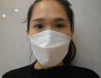 China Elastic Earloop Surgical N95 Respirators Disposable Mask 4 Layers Anti Pollution for sale
