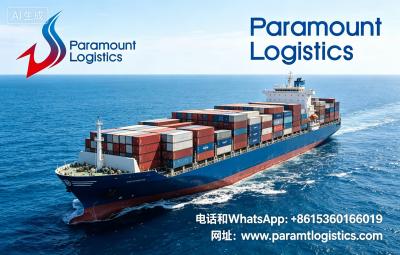China International Sea Shipping Service for sale