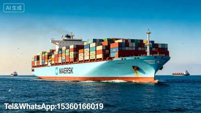 China China to Germany LCL Shipping for sale