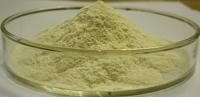 China Isoflavone(Isoflavone 10%,20%,40%,80%) for sale