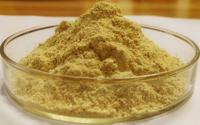 China Isoflavone(Isoflavone 10%,20%,40%,80%) for sale