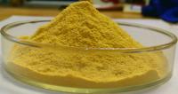 China Berberine 60-85% HPLC,97% CP2005 for sale