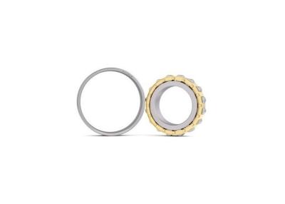 China N310EM Single Row Cylindrical Roller Bearing Heavy Duty Brass Cage Bearing 50x110x27mm for sale