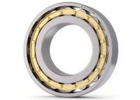 China N310EM Single Row Cylindrical Roller Bearing Heavy Duty Brass Cage Bearing 50x110x27mm for sale