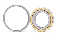 China N310EM Single Row Cylindrical Roller Bearing Heavy Duty Brass Cage Bearing 50x110x27mm for sale