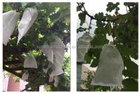 China Mango Grape Fruit Growing Protection Bag Making Machine with Paper Folding Technology for sale