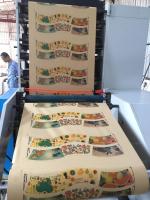 China RY850-B Xuanhai Automatic 4-6 Color Paper Cup Flexo Printing Machine for sale