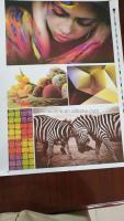 China cheap type 1 2 3 4 colors sheet offset printing machine for paper ,plastic bag, advertising paper,flyer for sale