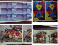 China Sticker Label Printing Flexographic Printer with Motor Core Components and Fast Speed for sale