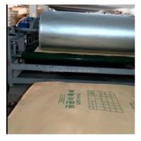 China BIG paper bag sheet plastic bag printing machine for sale