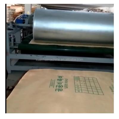 China BIG paper bag sheet plastic bag printing machine for sale