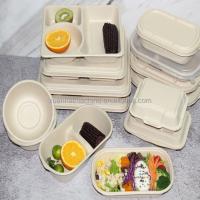 China Degradable Paper Plate Making Machine Bagasse Dinnerware Meal Box Food Containers Production for sale