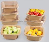 China XUANHAI ZF-800 Fully automatic hamburger box kids lunch box paper carton making erecting machine for sale for sale