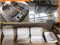 China Advanced Foam Lunch Box Paper Making Machines for Production in Food Beverage Shops for sale