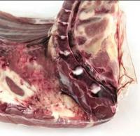 China Cold Fresh Meat Packaging Bags PA/PE Shrink Film PVDC Shrink Film And Bags for sale