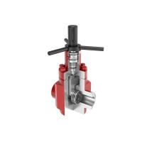 China AA-HH Oil and Gas Gate Valve PSL1-3G PR1 LU 2000-15000PSI 2-5 Inch for sale