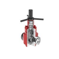 China AA-HH Oil and Gas Gate Valve PSL1-3G PR1 LU 2000-15000PSI 2-5 Inch for sale