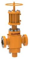 China Full Diameter Hydraulic Operated Gate Valve 2000 to 20000psi OEM ODM for sale